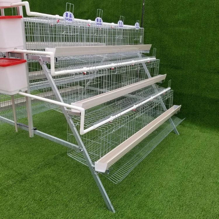 A Type Battery Cages For Poultry Chicken Layer Small Chicken Cage ...