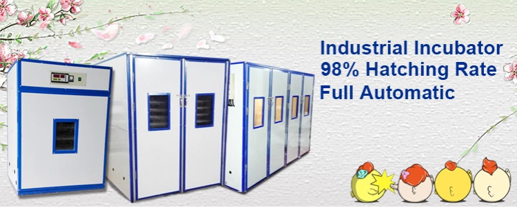 Hhd Controller For Fully Automatic Egg Incubator Chicken Plucher ...