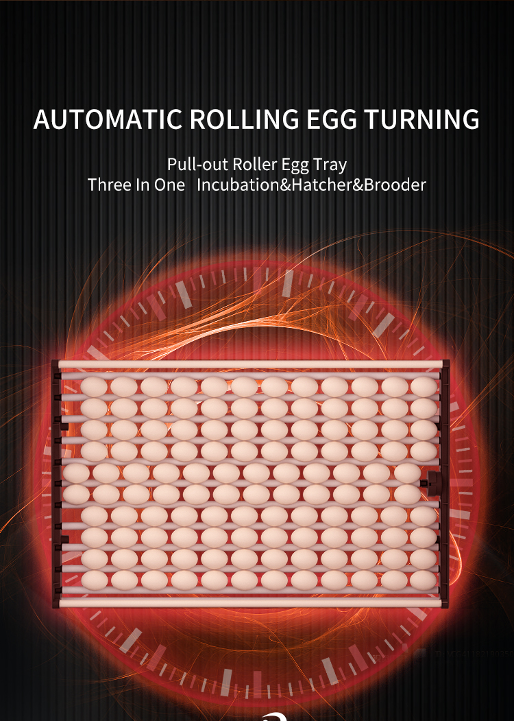 Hhd Controller For Fully Automatic Egg Incubator Chicken Plucher ...