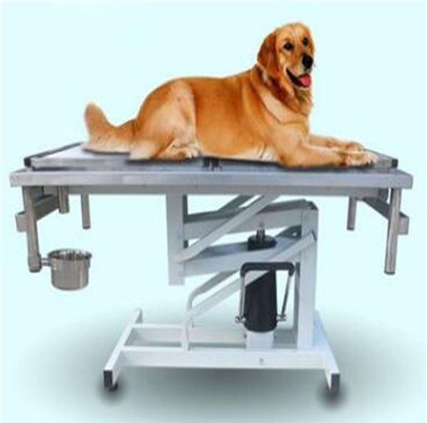 Buy Wholesale China Hydraulic Lift Operating Table Pet Clinic Table Pet ...
