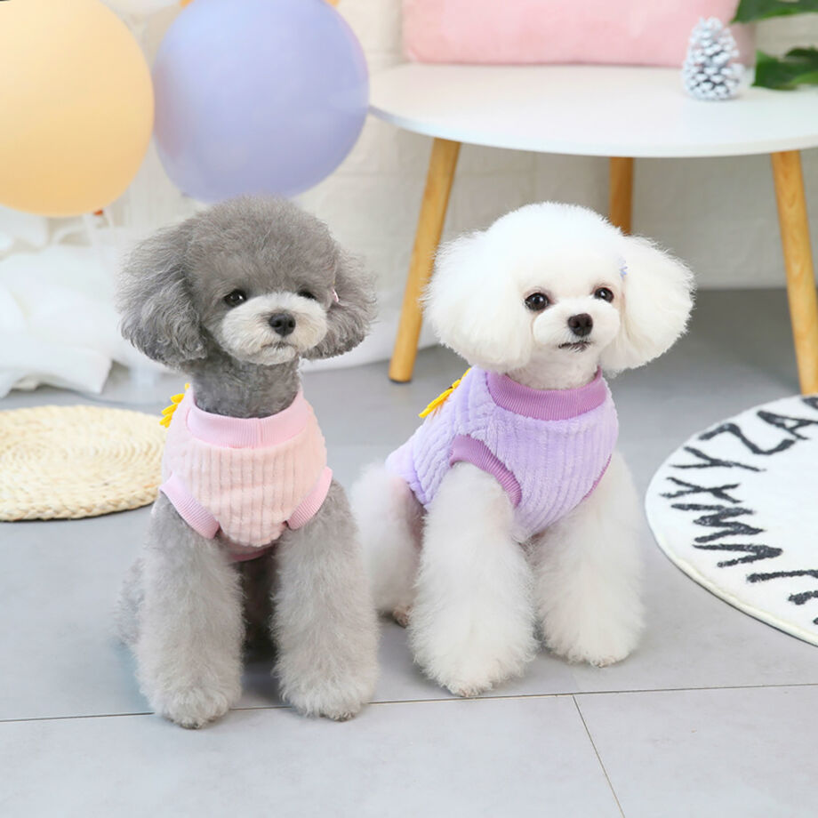 Buy Wholesale China Outdoor Luxury Pet Clothes Vest Fashion Autumn ...