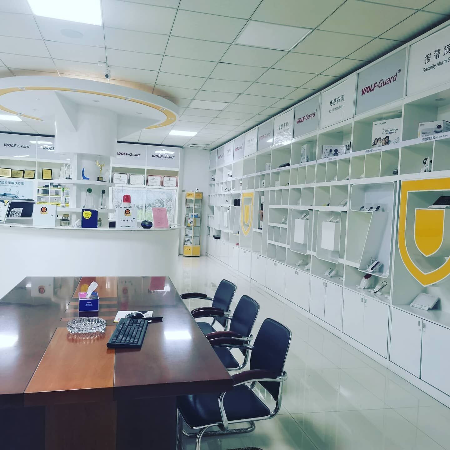 Buy Wholesale China Wolf Guard China Motion-detected Security Pir Wifi ...