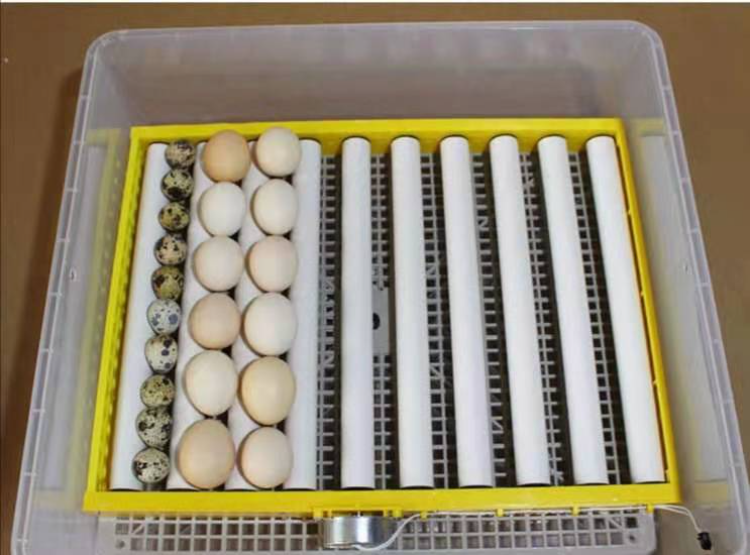 Dual Power Automatic Egg Incubator Spare Parts Roller Egg Tray - China ...
