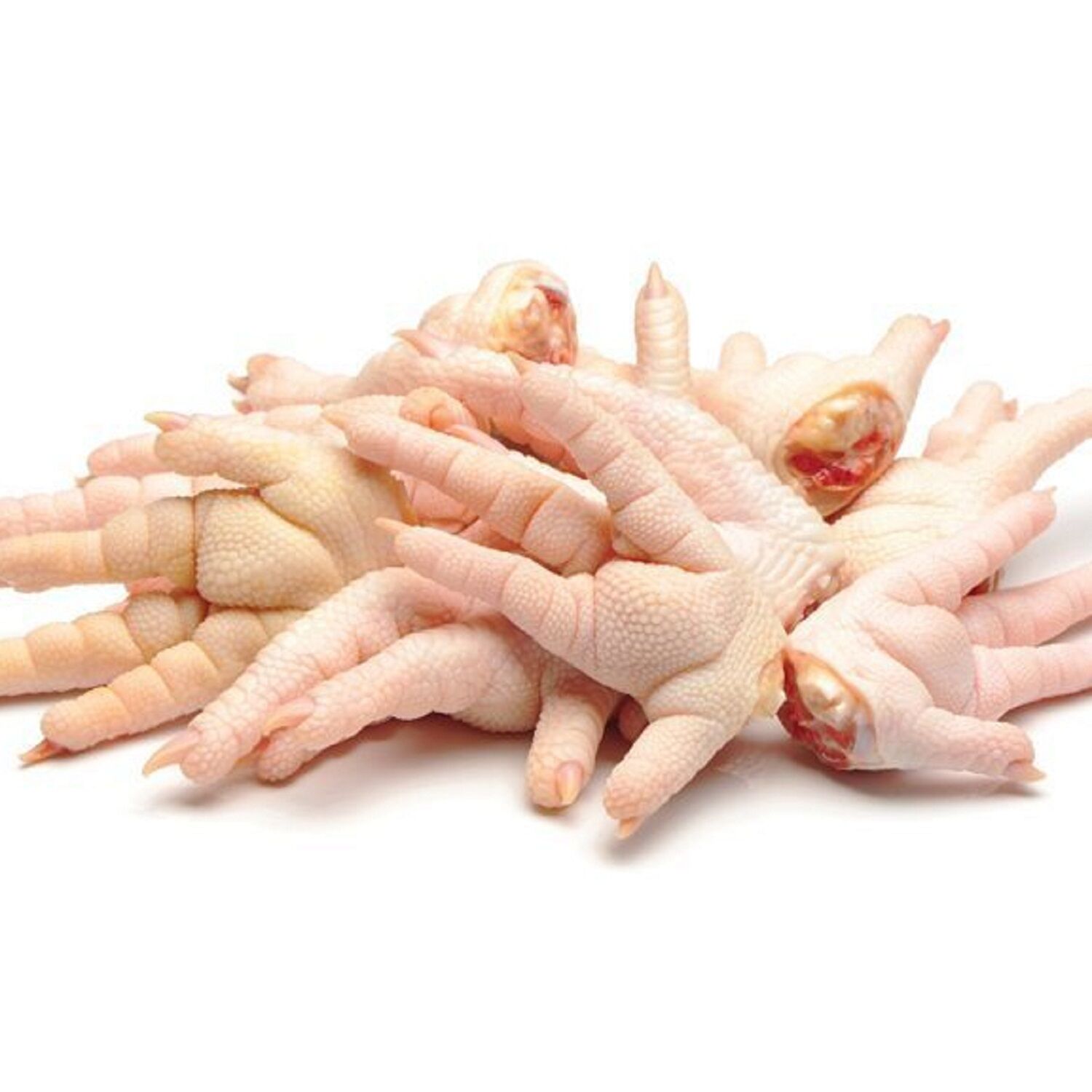 Buy Wholesale Canada Grade A Processed Chicken Feet Wholesale Poultry ...