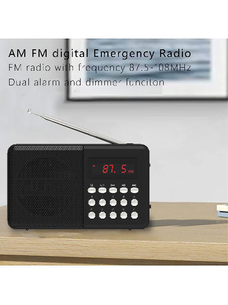 Buy Wholesale China New Factory Price Fm Bluetooth Portable Radios For ...