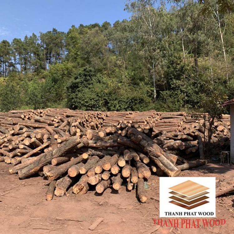 Buy Wholesale Vietnam Raw Material High Durable And Best Quality Pine ...