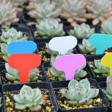 Plastic Plant Tags Waterproof Nursery Garden Plant Labels Stakes Pot ...