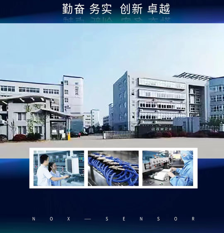 Wp10 Wp12 Oh6 Dual Platinum Spark Plug For Gas Engine Oh2 610800190174 ...