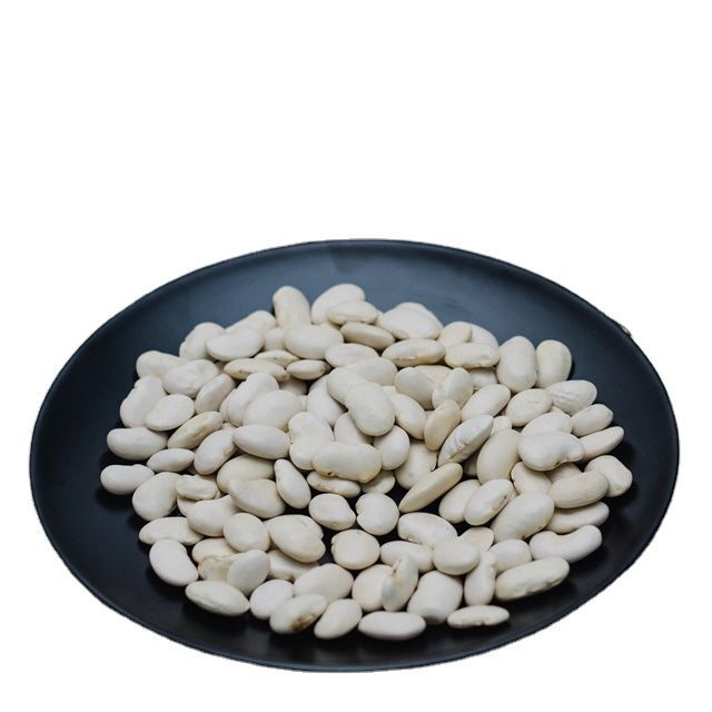 Buy Wholesale United Kingdom 100% Quality White Kidney Beans Long And ...