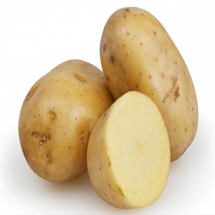 Buy Wholesale France Potato Fresh Sweet Potatoes High Quality Cheap ...