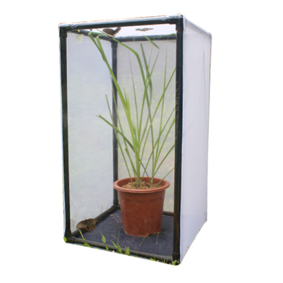 Factory Direct Sale Pvc Butterfly Breeding Plant Mosquito Cage Outdoor ...