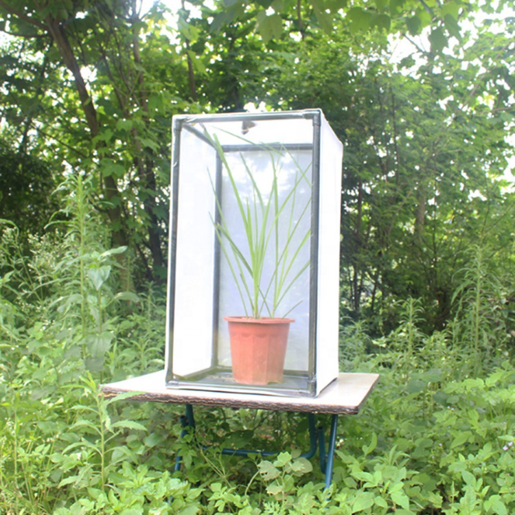 Factory Direct Sale Pvc Butterfly Breeding Plant Mosquito Cage Outdoor ...