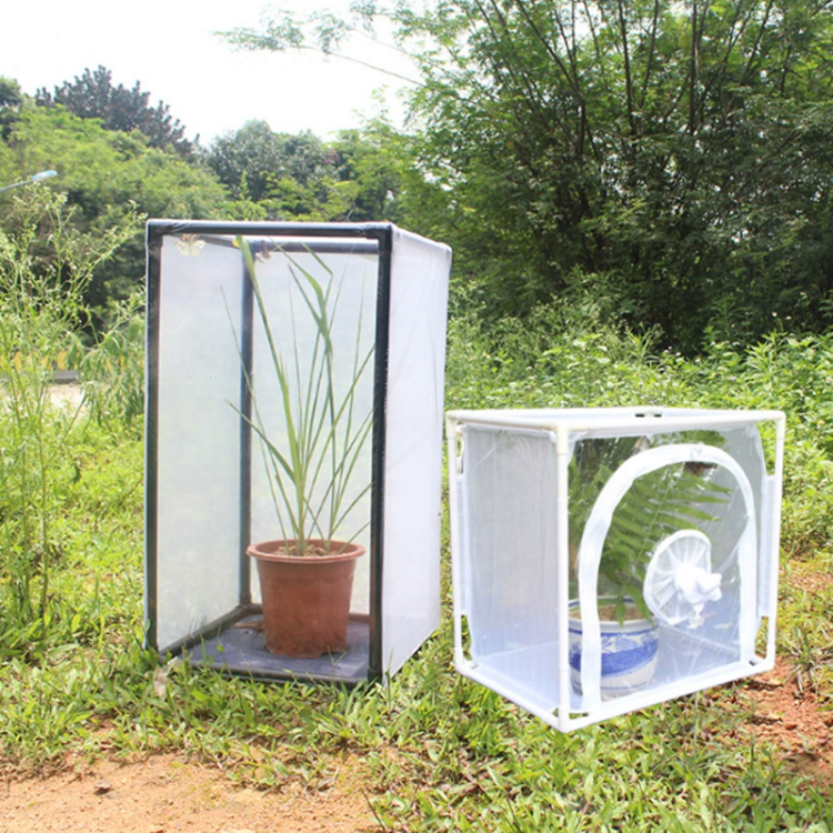 Factory Direct Sale Pvc Butterfly Breeding Plant Mosquito Cage Outdoor ...