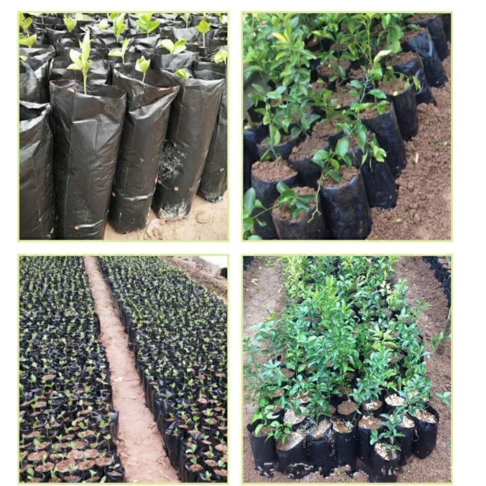 Buy Wholesale China Plastic Nursery Bags Pe Seedling Bag Plant Sapling ...