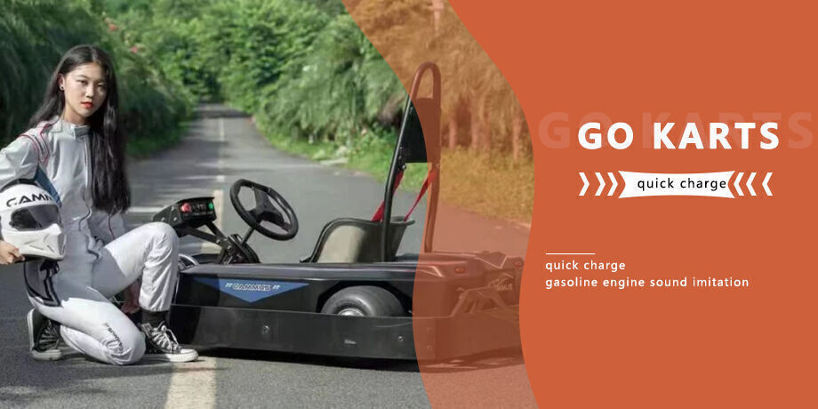 Factory P;rice Racing Go Karts Electric Kart With Digital Dashboard ...