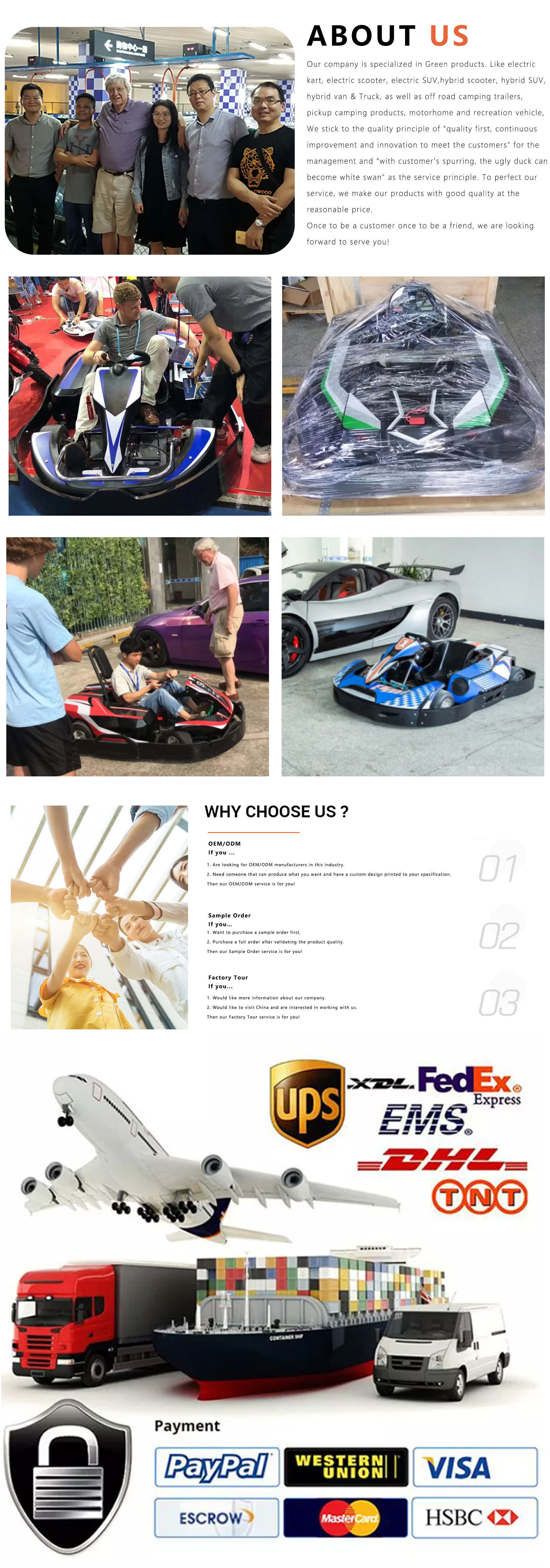 Factory P;rice Racing Go Karts Electric Kart With Digital Dashboard ...