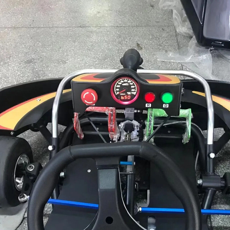 Factory P;rice Racing Go Karts Electric Kart With Digital Dashboard ...