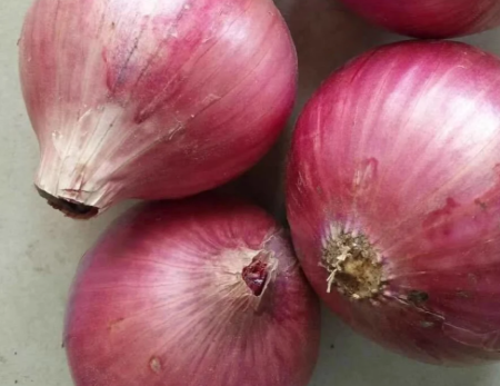 Buy Wholesale China Supply All Year Around Organic Fresh Red Onion With ...