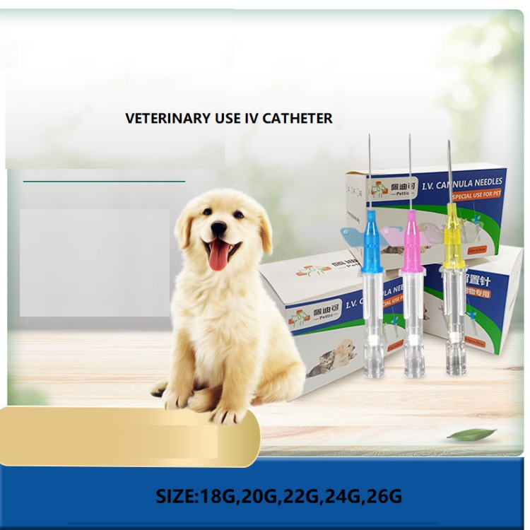 Iv Catheter Veterinary Use Different Size Available For Animal Use Iv ...