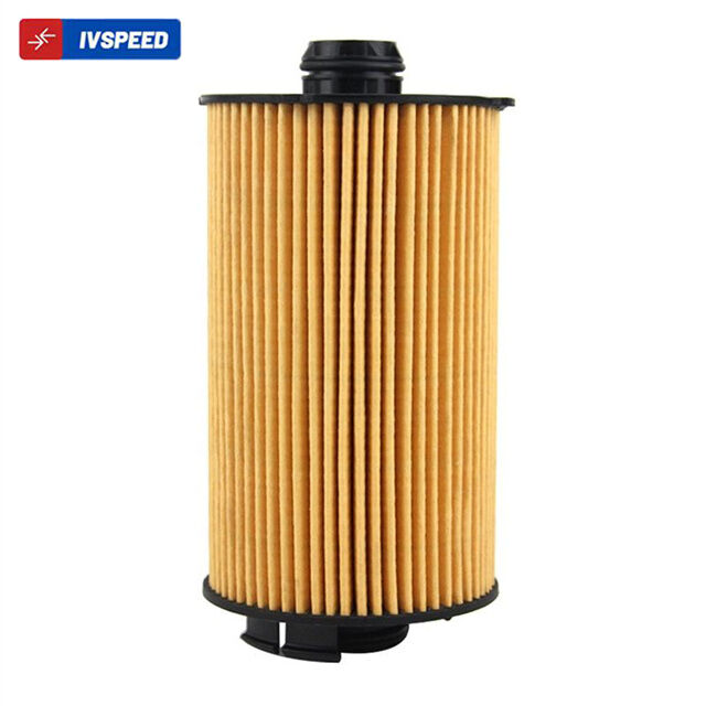 Buy China Wholesale Ivspeed Fuerdun Oil Filter 25.051.002105 For ...