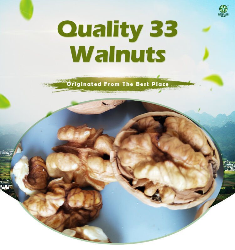 Buy Wholesale China Newest Crop 33 Walnuts In Shell For Expo & Walnut at USD 2599 | Global Sources