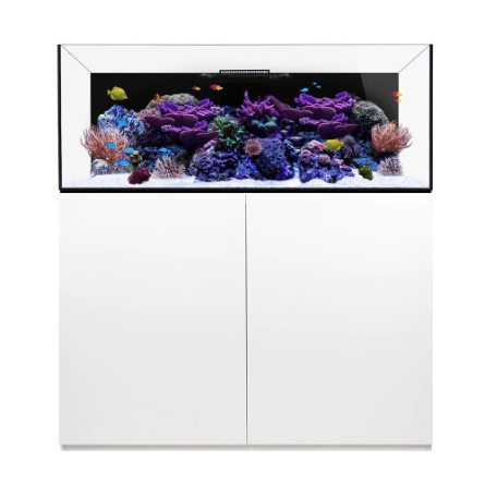 4ft 130 Gallon Ultra Low Iron Glass Saltwater Aquarium Fish Tank With ...