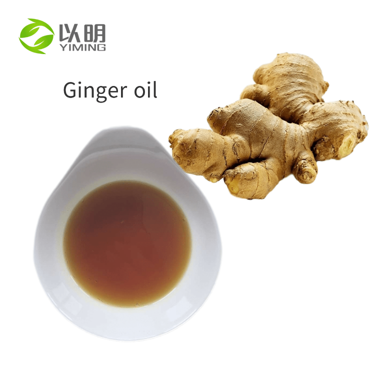 Buy Wholesale China Factory Supply Ginger Oil With Favorable Price ...