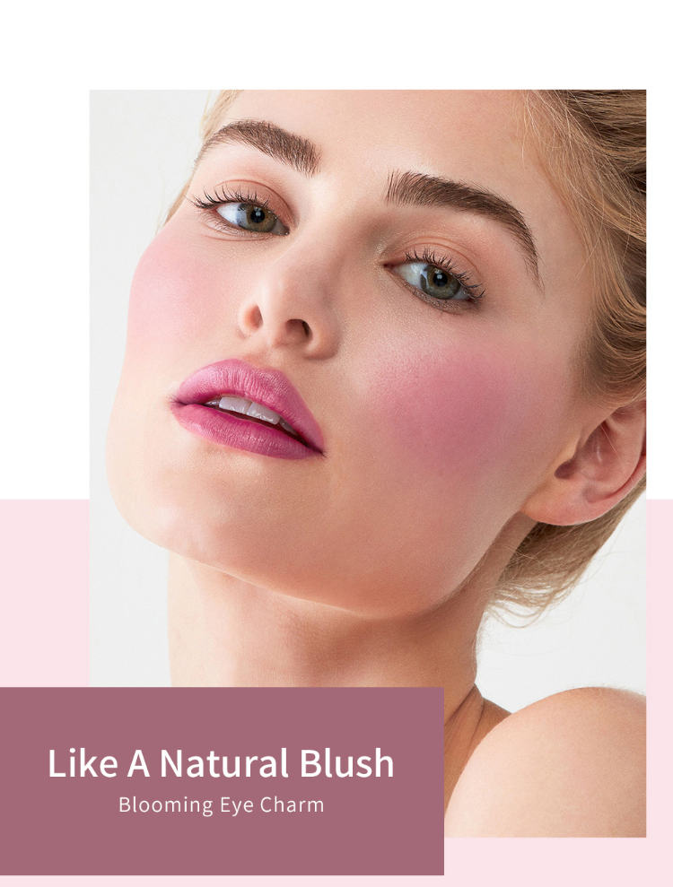 Wholesale Face Makeup Blush Powder Cheek 6 Colors High Quality Single ...