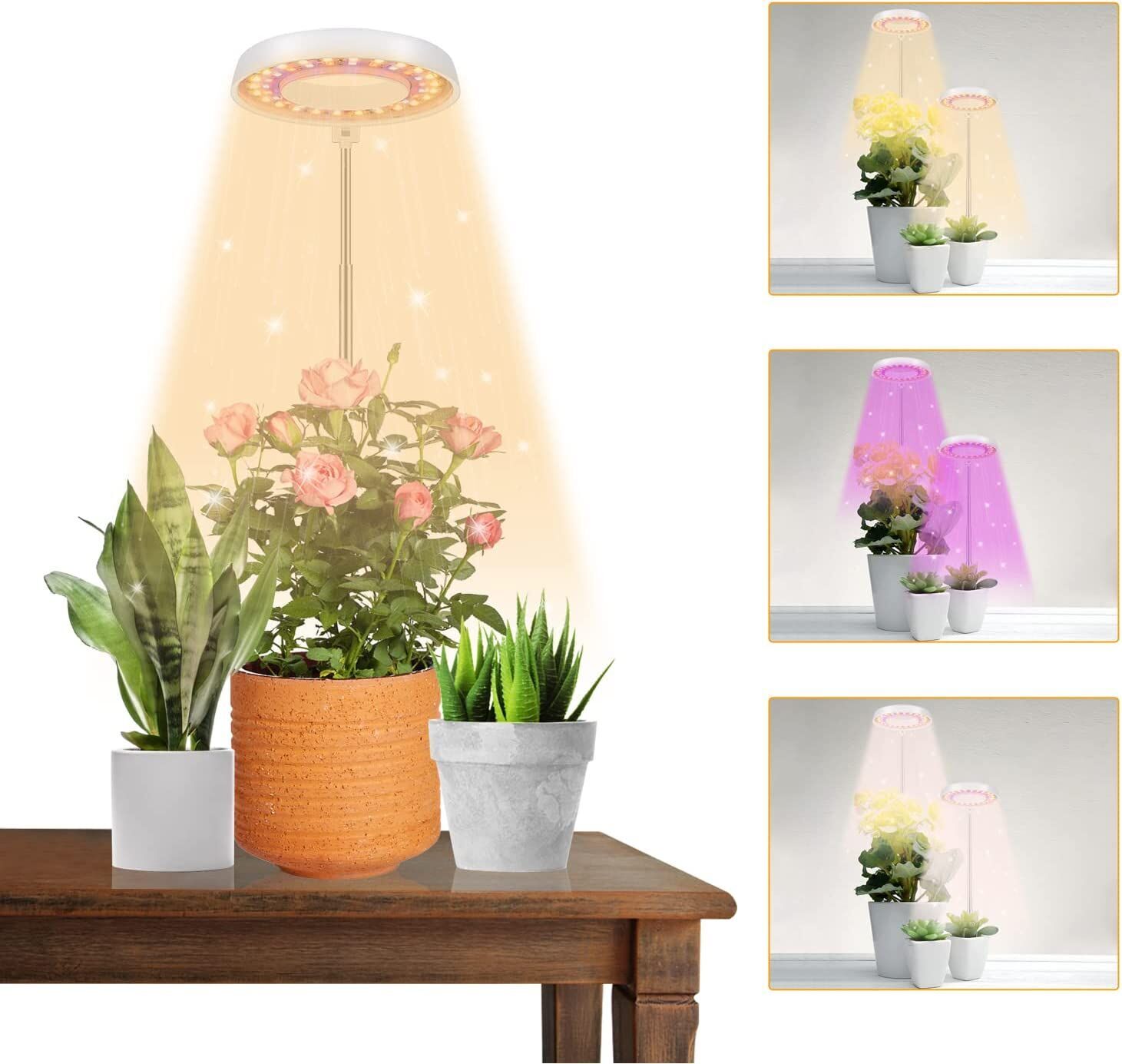 Buy Wholesale China Factory Price Led Grow Light For Indoor Plants,full ...