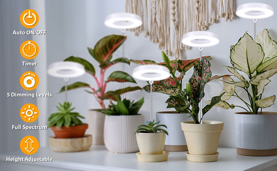 Buy Wholesale China Factory Price Led Grow Light For Indoor Plants,full ...