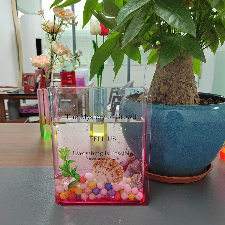 Custom Acrylic Book Vase Fish Tank Table Plastic Aquariums ...