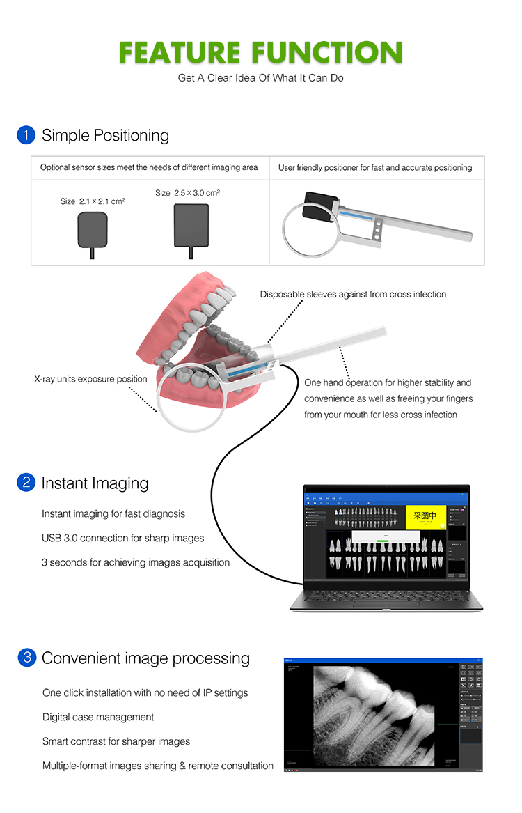 Portable Digital Rvg Dental X-ray Sensor X Ray Dental Xray Sensor For ...
