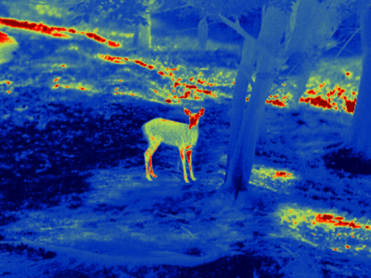 Guide Ts450 Thermal Imaging Sights Night Vision Outdoor Night Optical ...