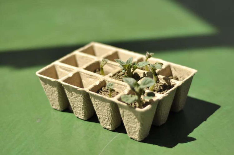 Buy Wholesale China Yuchen Hot Sale Garden Supplies Grow Coconut Paper ...