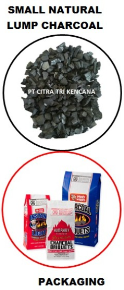 Buy Wholesale Indonesia 2022 Carbon Coconut Shell Charcoal Raw Material ...