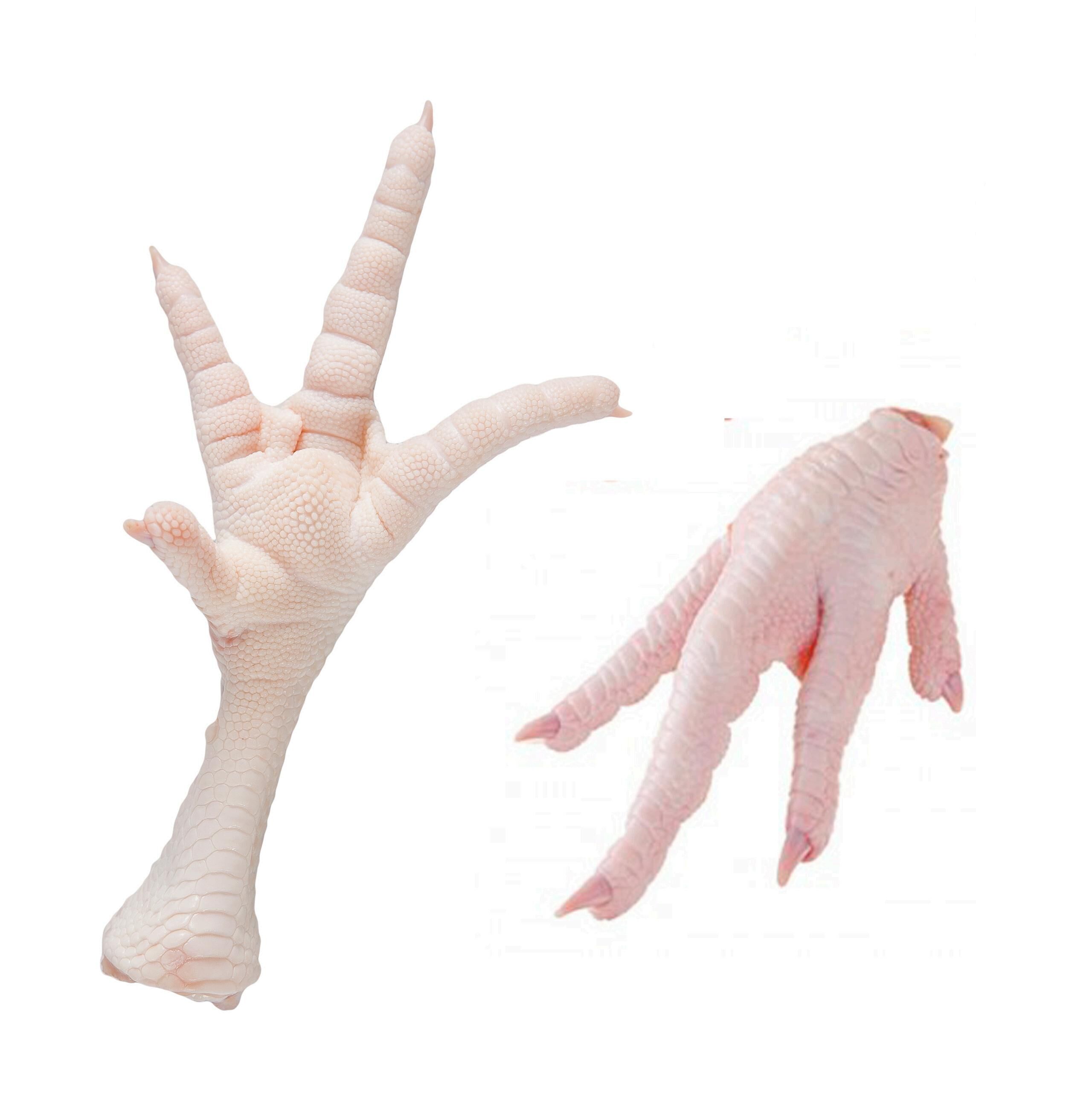 Buy Wholesale Canada Wholesale Frozen Chicken Feet Paws In Bulk For ...