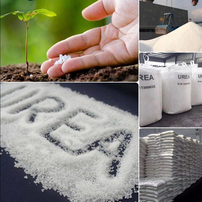 Achetez en gros Engrais D'azote Urée 46 | Engrais D'azote Urée 46 ...