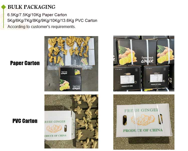 Fresh Ginger 150g Packing In 5kg 6kg 7kg 8kg Pvc Box - China Wholesale ...