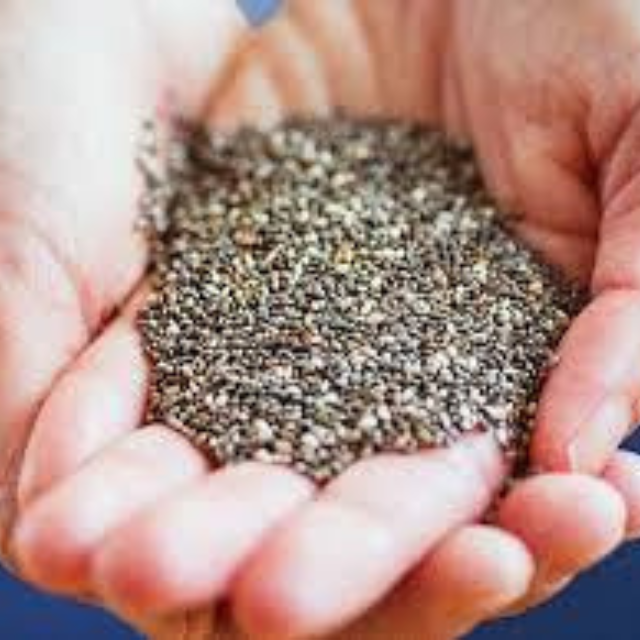 Buy Wholesale South Africa Chia Seeds - Salvia Hispanica & Chia Seeds ...
