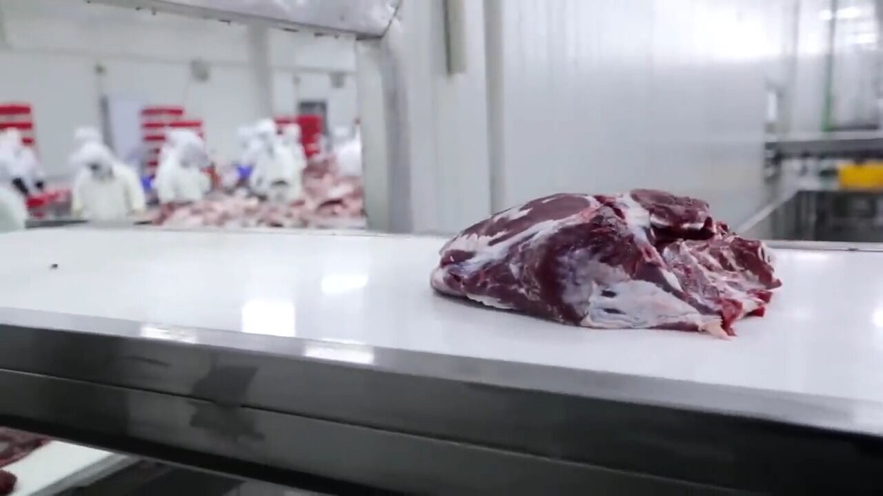 Buy Wholesale South Africa Cheap Wholesale Top Quality Dry Stock Fish ...