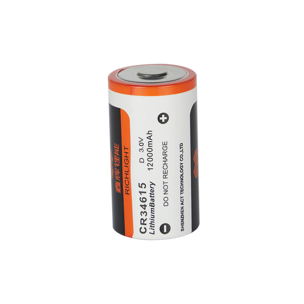 Buy Wholesale China Hot Selling Limno2 Battery Size D Lithium Batteries ...