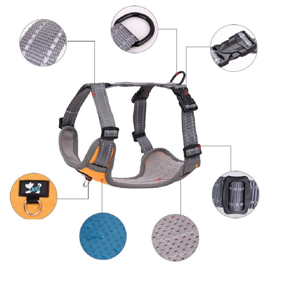 Buy Wholesale China Designer Logo Dropshipping Pet Products Breathable ...