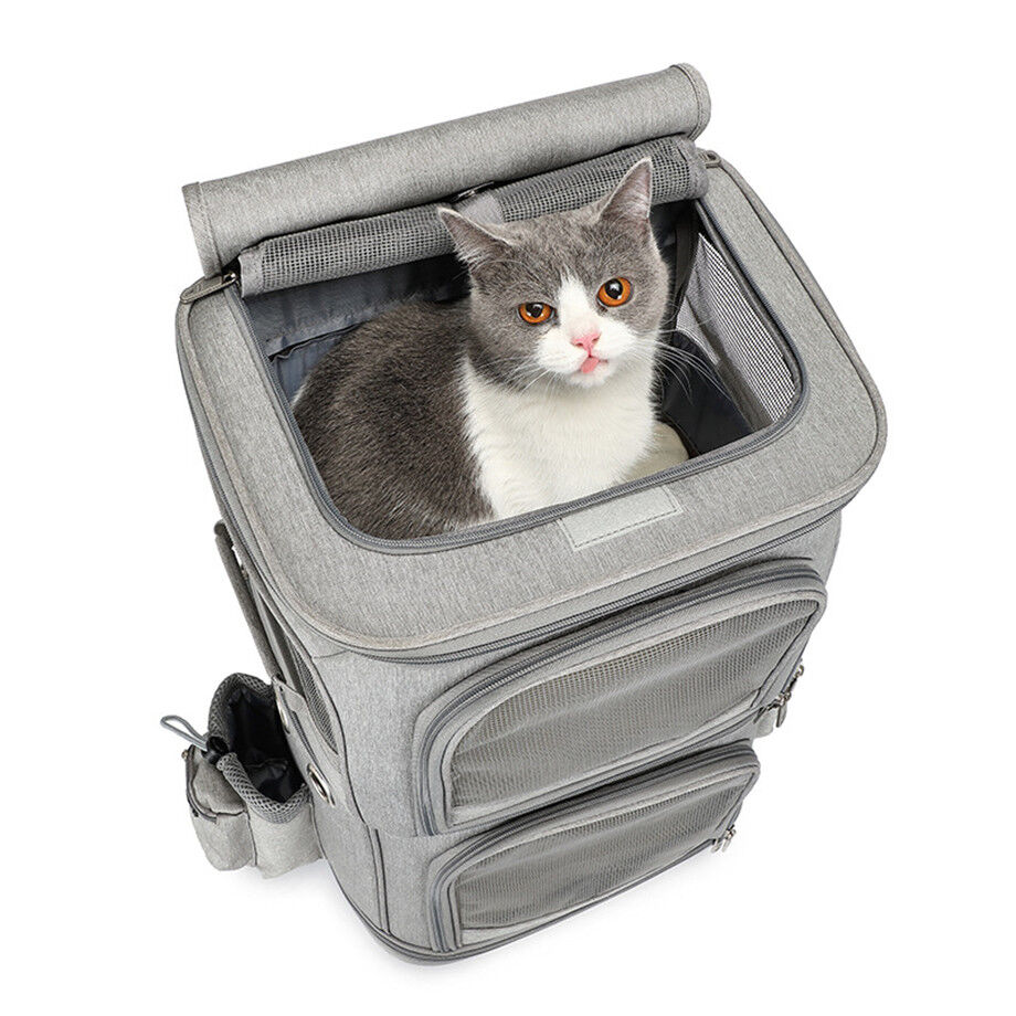 Buy Wholesale China Outing Two Layers Cat Portable Pet Trolley Carrier ...