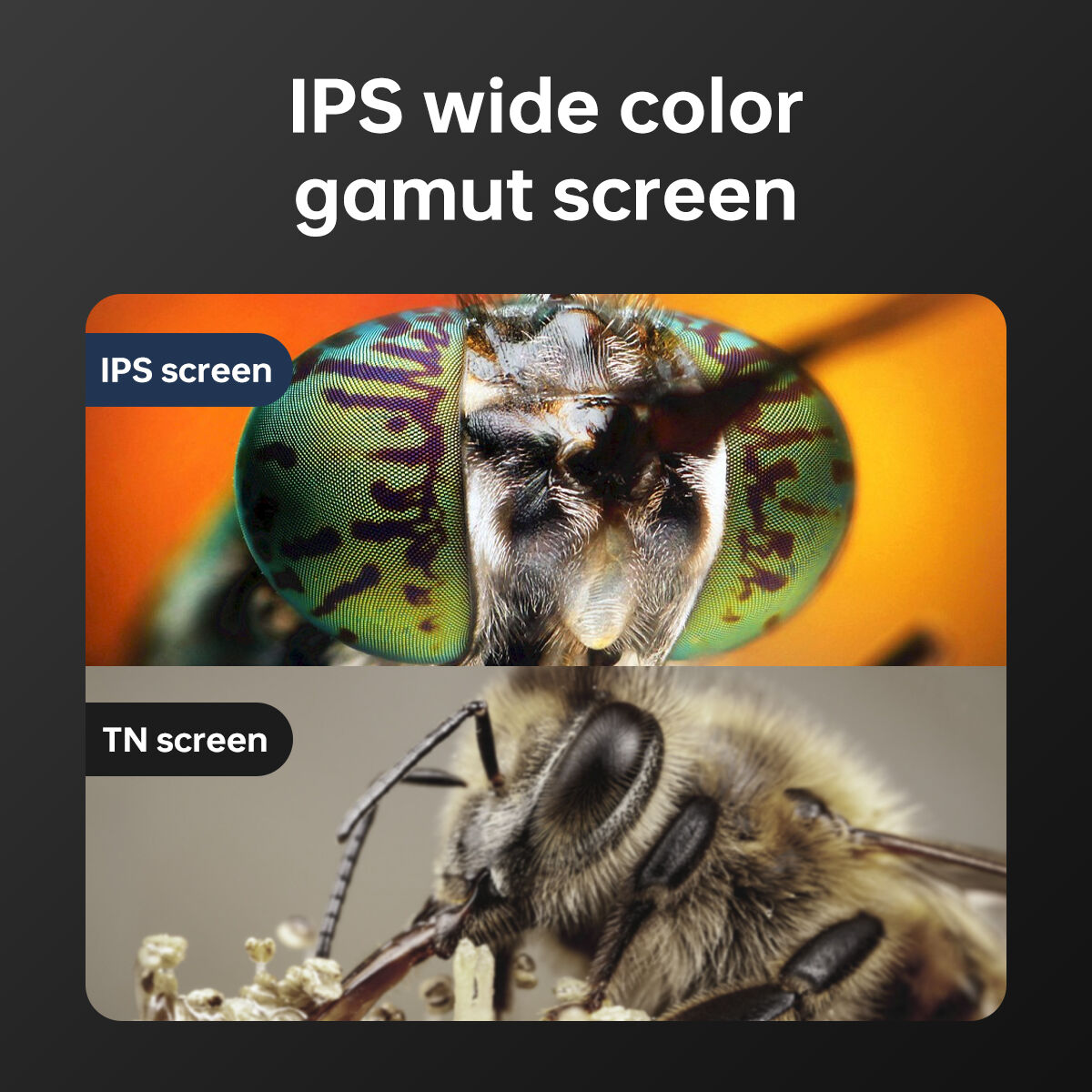 Inskam 307-b Educational Use Student Electron Microscope Magnifier ...