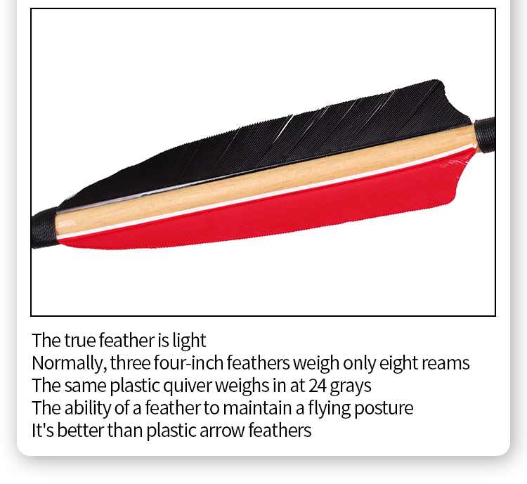 Buy Standard Quality China Wholesale Spg Wood Arrow Shafts Archery 8 Mm ...