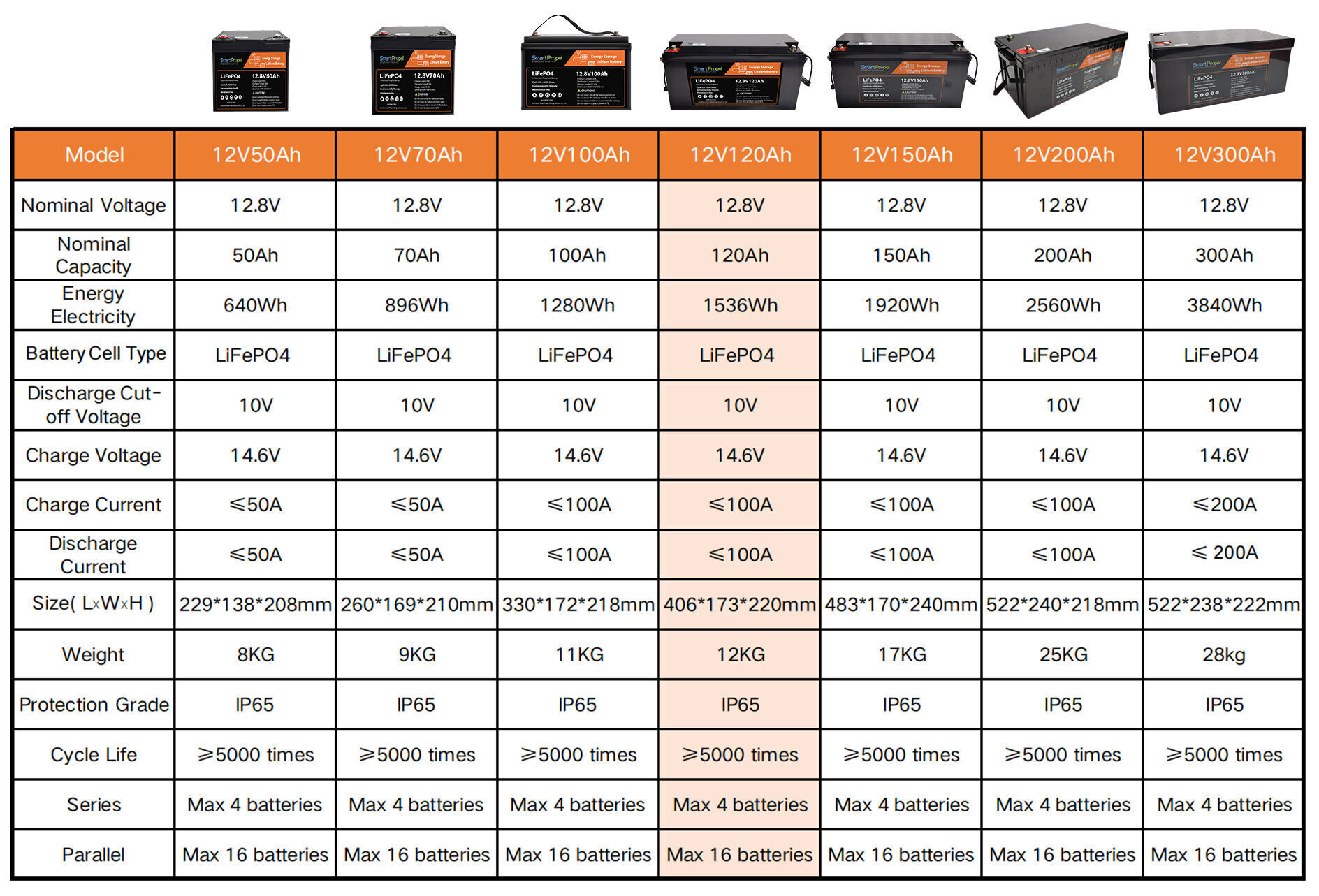 Buy Wholesale China 12v 120ah Lifepo4 Battery Pack 12v 24v 48v 300ah ...