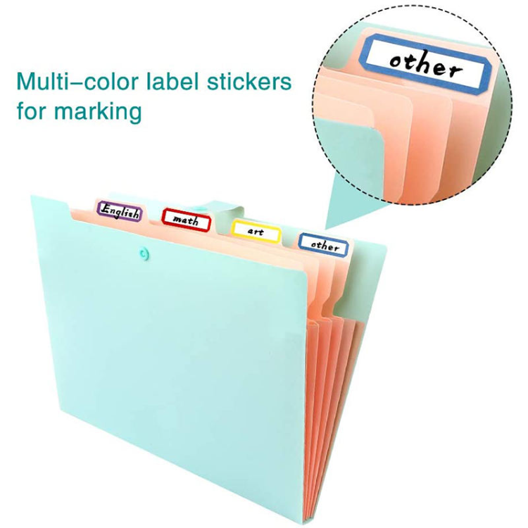 Buy Wholesale China Hot Selling Plastic Pvc Classification File Folder ...