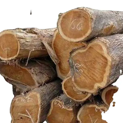 Natural Teak Wood Log