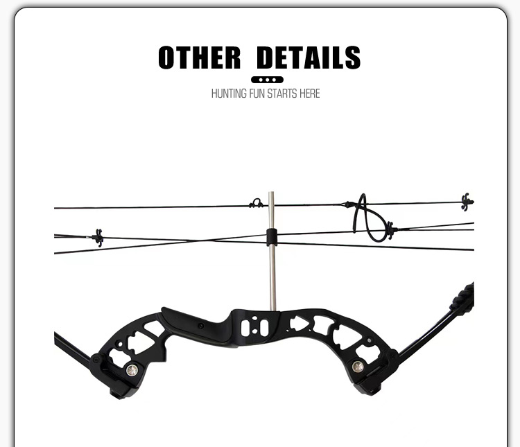 Hitop Wholesale 30-60lbs Af-archery Compound Bow Set Dual Compound Bow ...