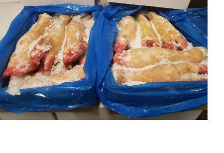 Buy Wholesale South Africa Frozen Beef Feet Cow Leg & Frozen Cow Leg at ...